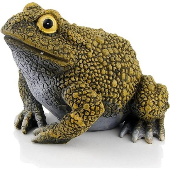 Accents | Frog Toad Sculptures Garden Statues Yard Art Resin Outdoor ...